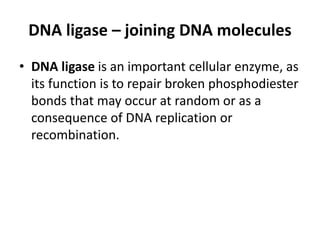 Enzymes used in Genetic Engineering | PPTX