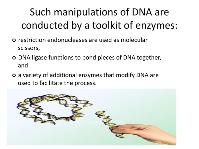 Enzymes used in Genetic Engineering | PPTX