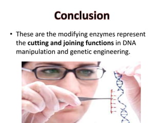 Enzymes used in Genetic Engineering | PPTX