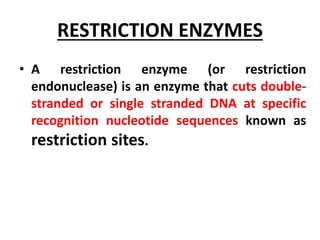 Enzymes used in Genetic Engineering | PPTX