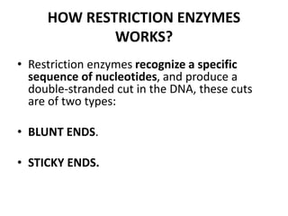 Enzymes used in Genetic Engineering | PPTX