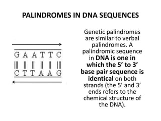 Enzymes used in Genetic Engineering | PPTX