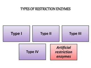 Enzymes used in Genetic Engineering | PPTX