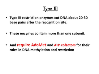 Enzymes used in Genetic Engineering | PPTX