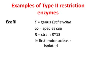 Enzymes used in Genetic Engineering | PPTX