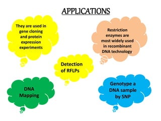 Enzymes used in Genetic Engineering | PPTX