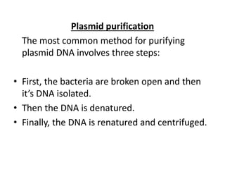 Enzymes used in Genetic Engineering | PPTX