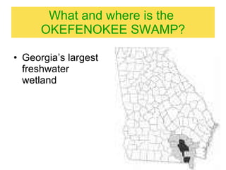 Georgia's Regions and Rivers ppt | PPT