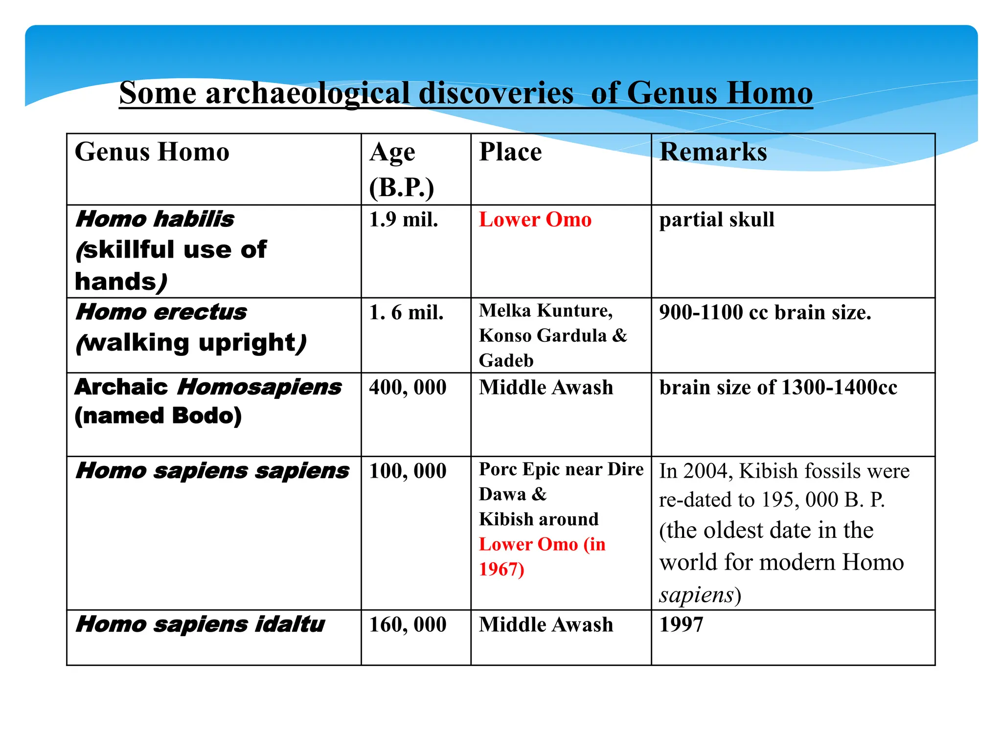 HISTORY OF ETHIOPIA AND THE HORN, ADDIS ABABA UNIVERSITY | PDF