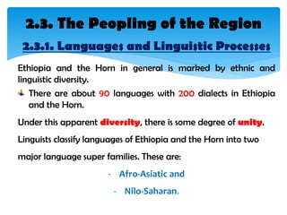 HISTORY OF ETHIOPIA AND THE HORN, ADDIS ABABA UNIVERSITY | PDF