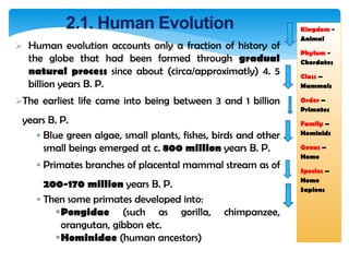 HISTORY OF ETHIOPIA AND THE HORN, ADDIS ABABA UNIVERSITY | PDF