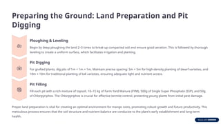 cultivation of practices of mango ppt by rupa | PPTX