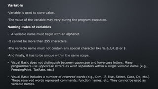 Visual Basic Fundamentals | PPTX
