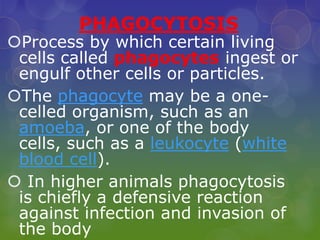 Unit 2 immune systems | PPT