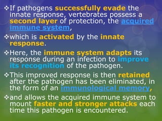 Immune System slides | PPTX