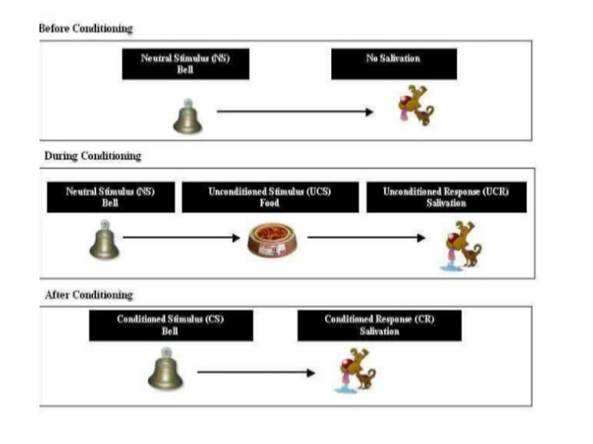BBA Unit. 2 – Individual behaviour.pptx
