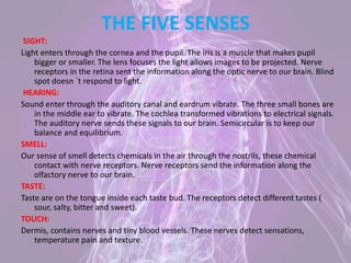 Unit 2 interaction and the body | PPT