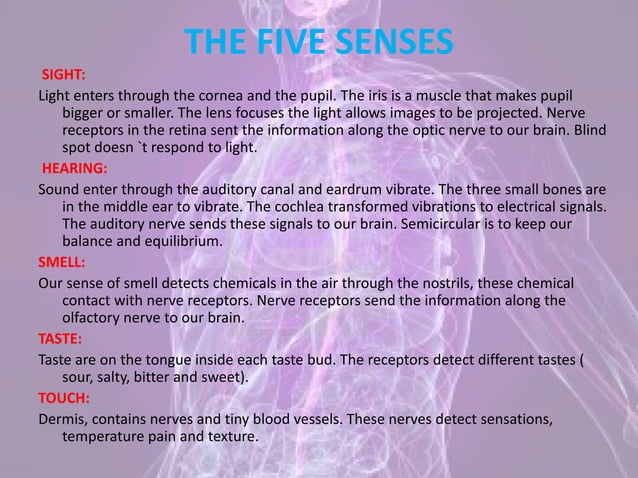 Unit 2 interaction and the body | PPT