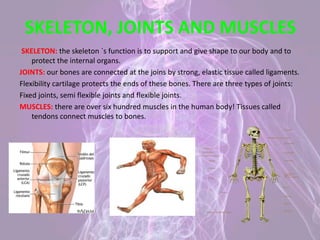 Unit 2 interaction and the body | PPT