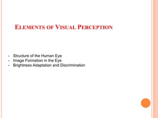 Elements of Visual Perceptions Structure | PPT