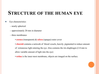 Elements of Visual Perceptions Structure | PPTX