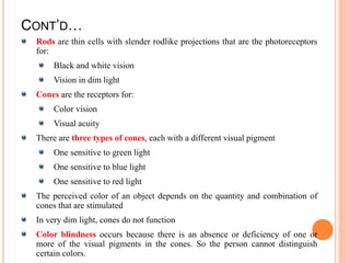 Elements of Visual Perceptions Structure | PPTX