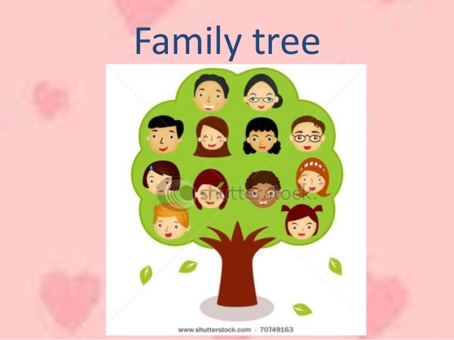 Unit2 lesson2 meet my family