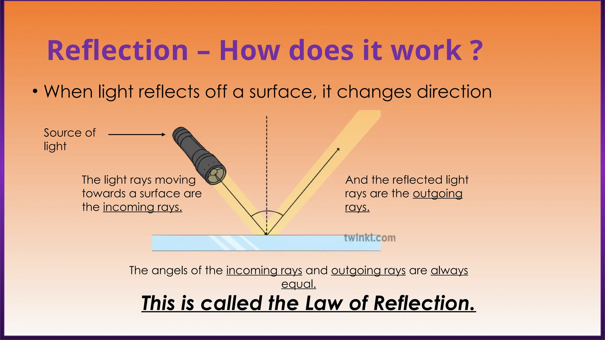 Unit 2 Ls 2 Role of Animals’ eyes (M2).pptx