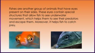 Unit 2 Ls 2 Role of Animals’ eyes (M2).pptx