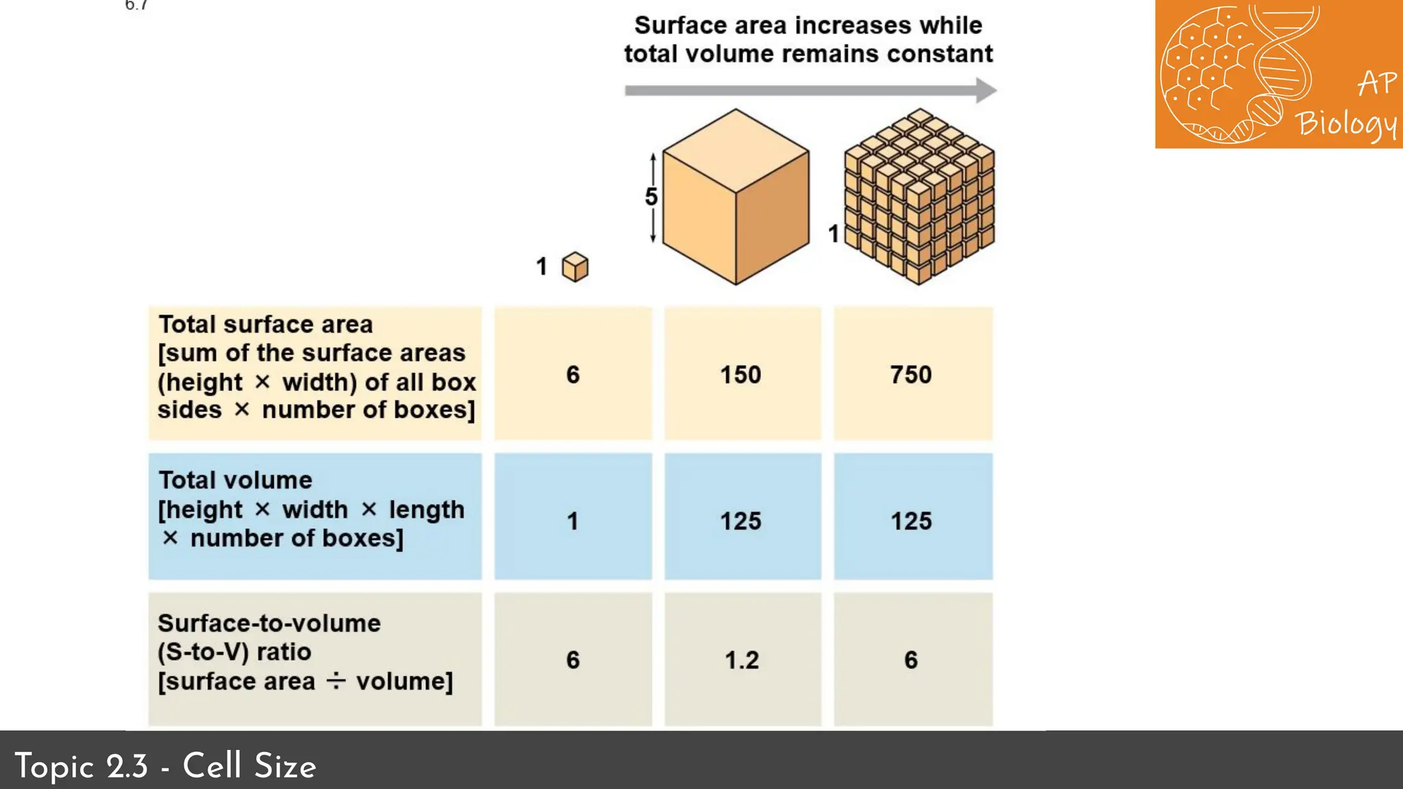 Unit 2 Master Slides - ap biology - unit 2 | PDF