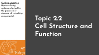 Unit 2 Master Slides - ap biology - unit 2 | PDF