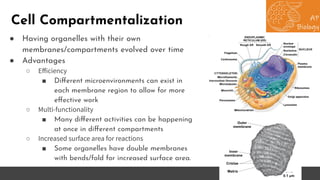 Unit 2 Master Slides - ap biology - unit 2 | PDF