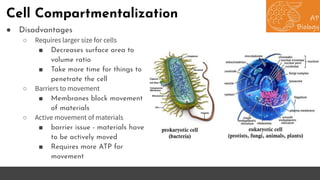Unit 2 Master Slides - ap biology - unit 2 | PDF