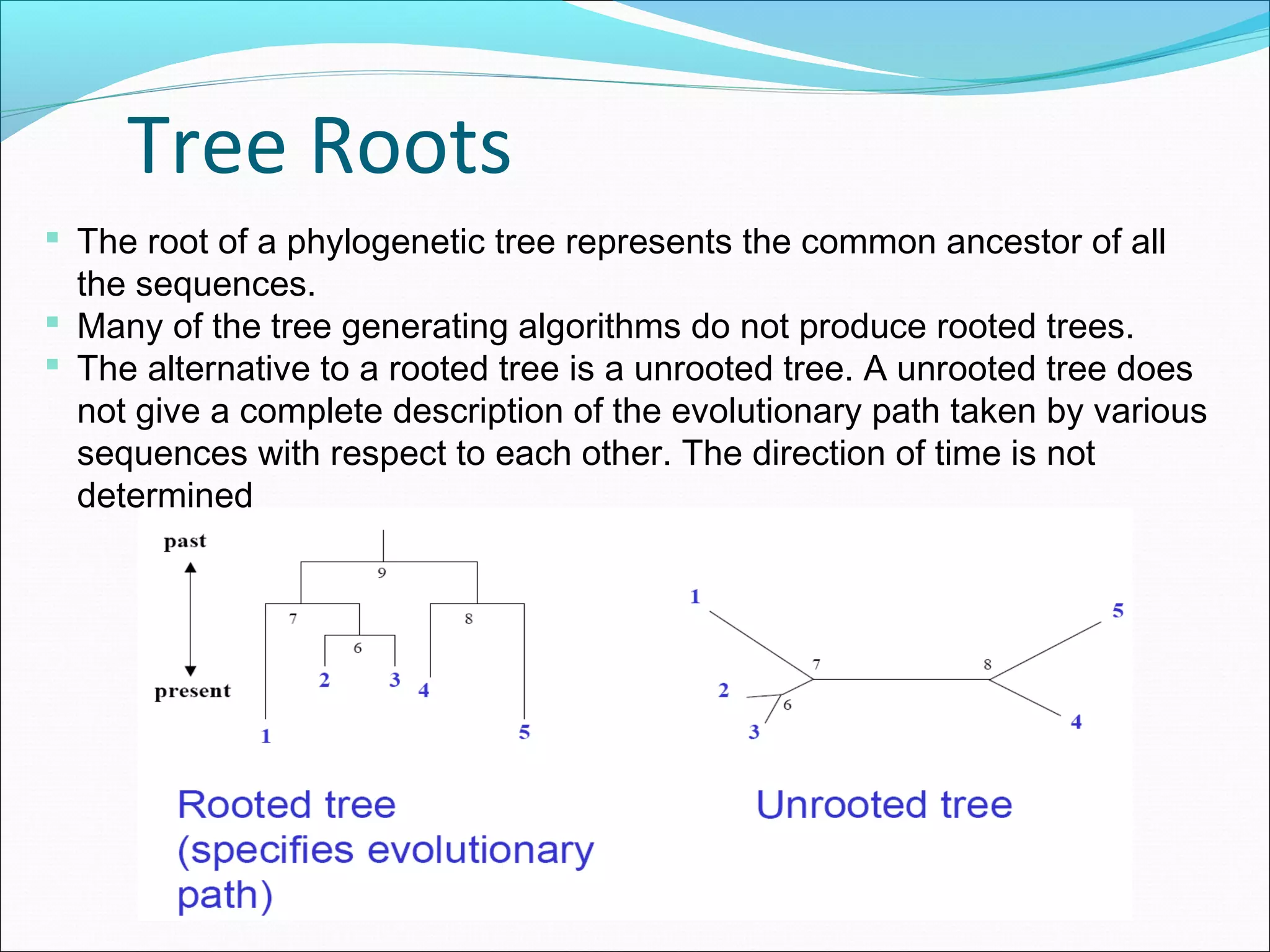 Multiple Sequence Alignment-just glims of viewes on bioinformatics. | PPT | Genealogy and ...