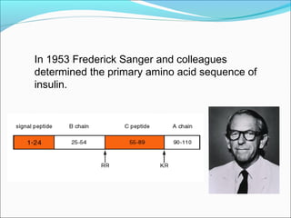 Multiple Sequence Alignment-just glims of viewes on bioinformatics. | PPT