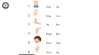 UNIT 2 MY BODY, YOUR BODY 2nd grade.pptx
