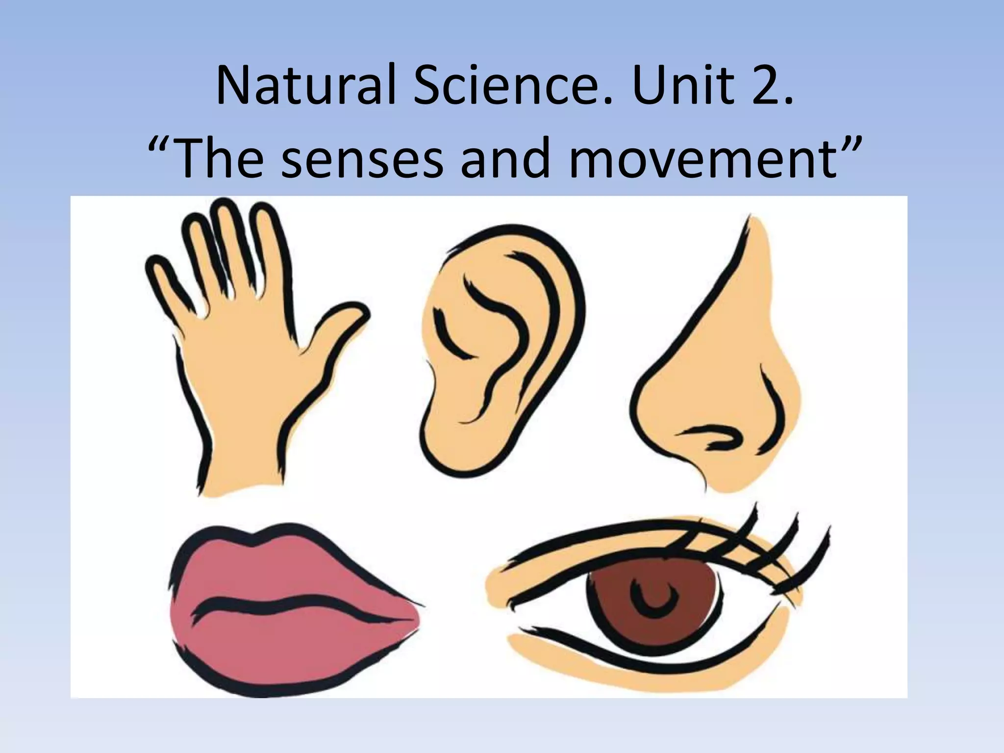 Unit 2 "The Senses and movement" | PPTX