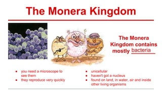 Unit 2 natural science monera, protoctista, and fungi | PPTX