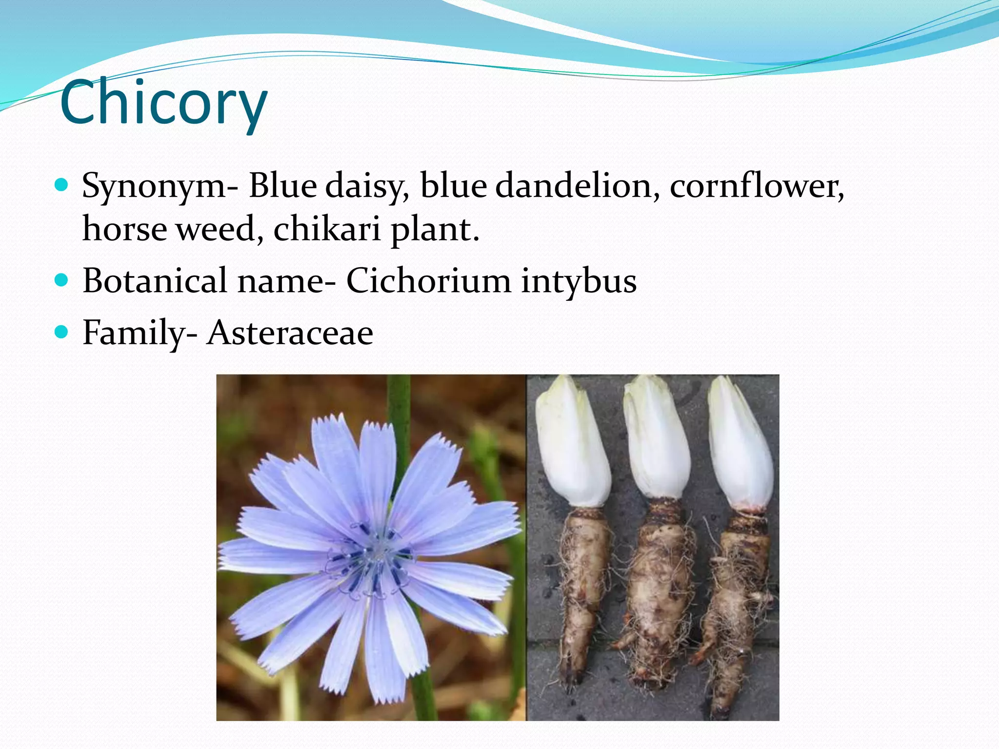 Herbal Drug Technology Unit 2 Neutraceuticals | PPTX