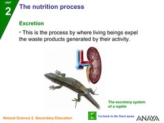 Unit 2 nutrition | PPT