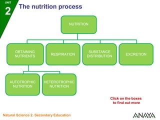 Unit 2 nutrition | PPT