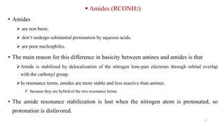 unit 2 org. 《Amines 》.pdf