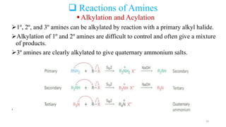 unit 2 org. 《Amines 》.pdf