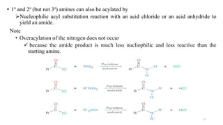 unit 2 org. 《Amines 》.pdf
