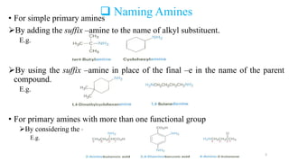 unit 2 org. 《Amines 》.pdf