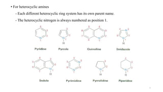 unit 2 org. 《Amines 》.pdf