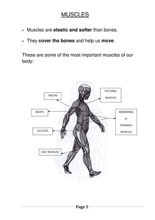 Unit 2 our body | PDF