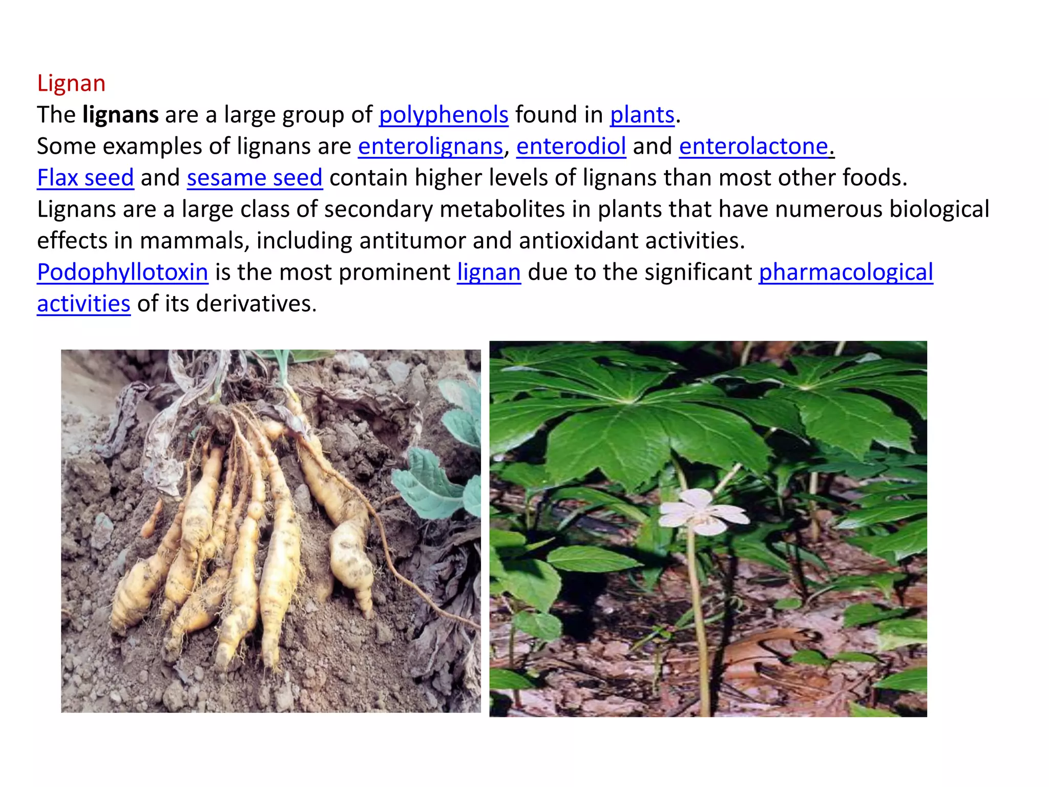 Unit 2 part ii | PDF