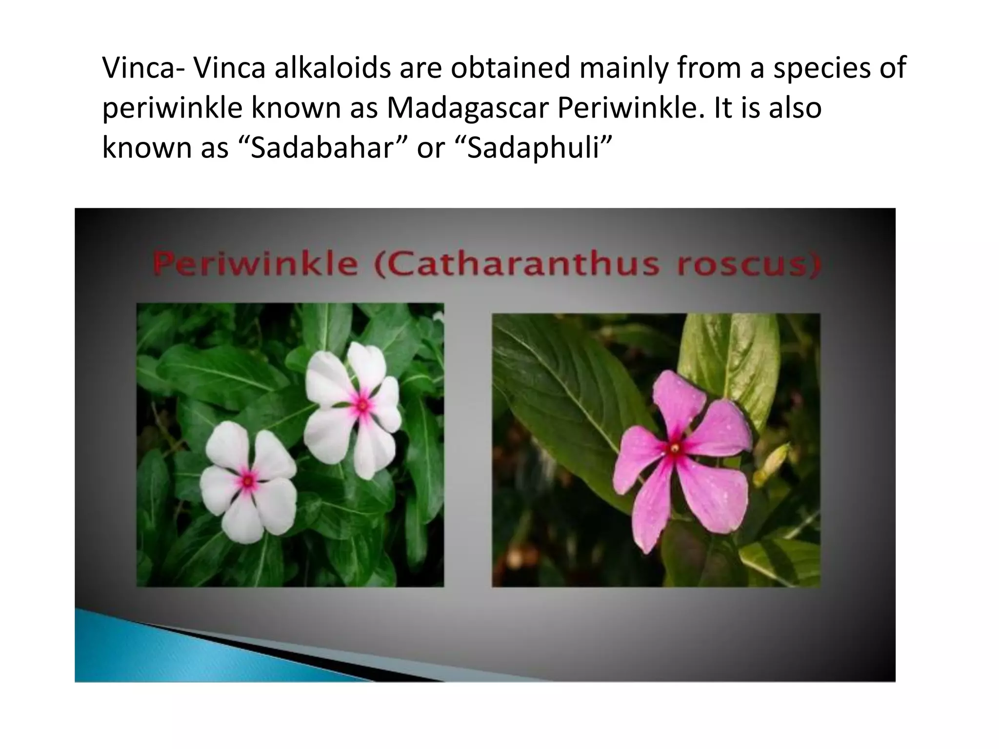 Unit 2 part ii | PDF