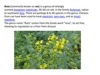 Unit 2 part ii | PDF